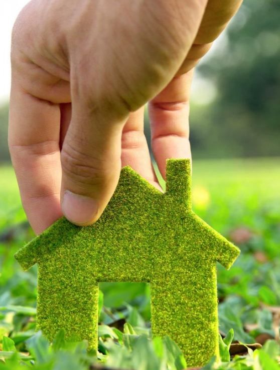 Make it green - How sustainability turned from a fad into a lifestyle ...